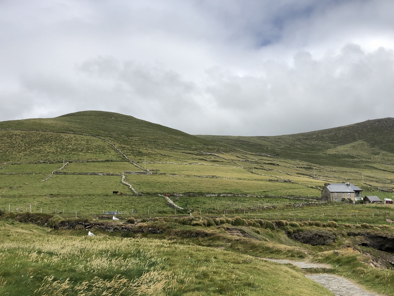 The Dreamy Dingle Peninsula | Travel the World History
