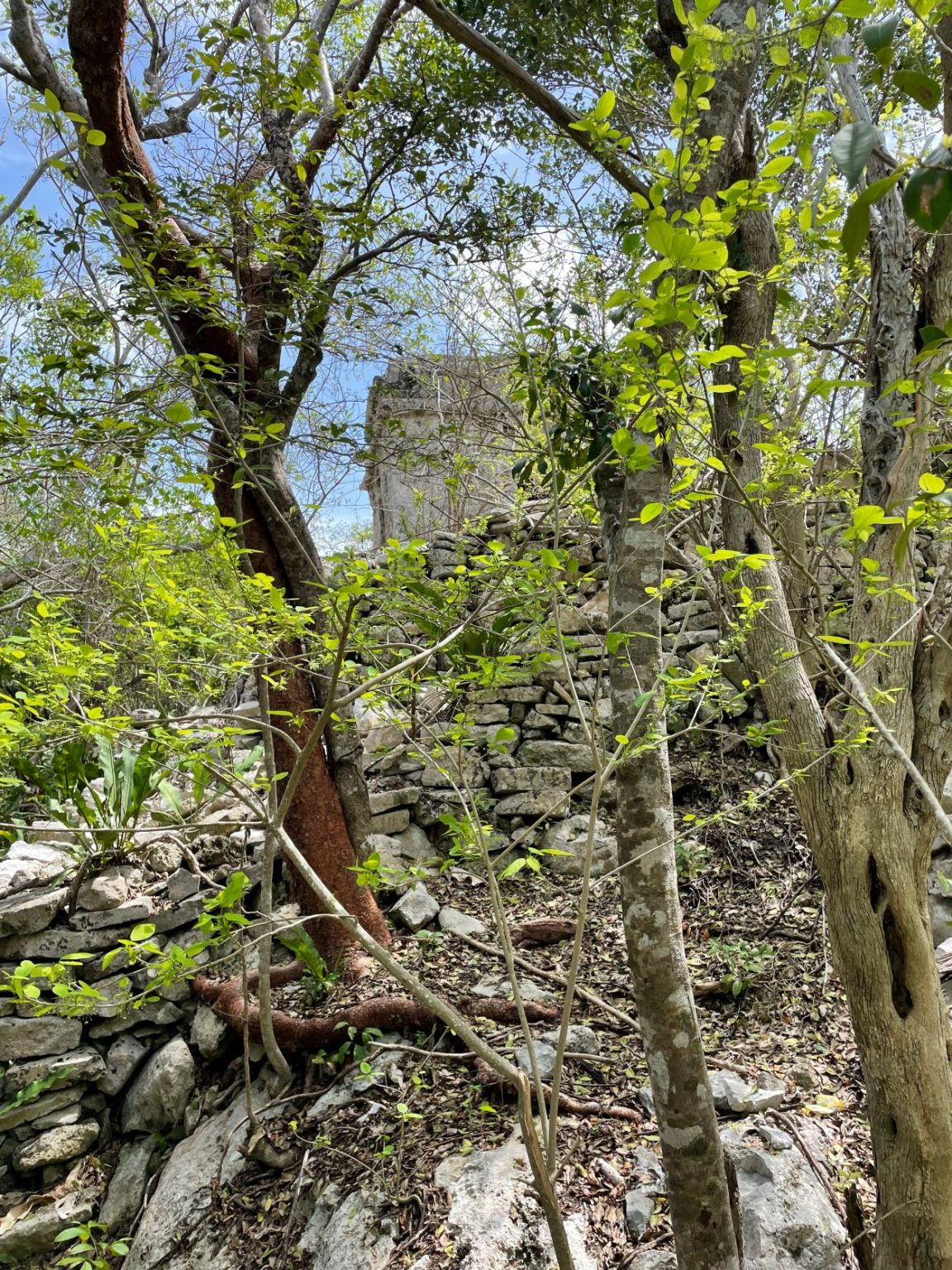 Mysterious Maya Marvels of Mexico | Travel the World History